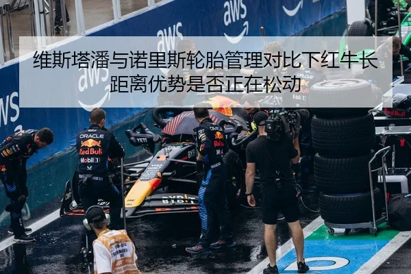 维斯塔潘与诺里斯轮胎管理对比下红牛长距离优势是否正在松动 - 南宫体育